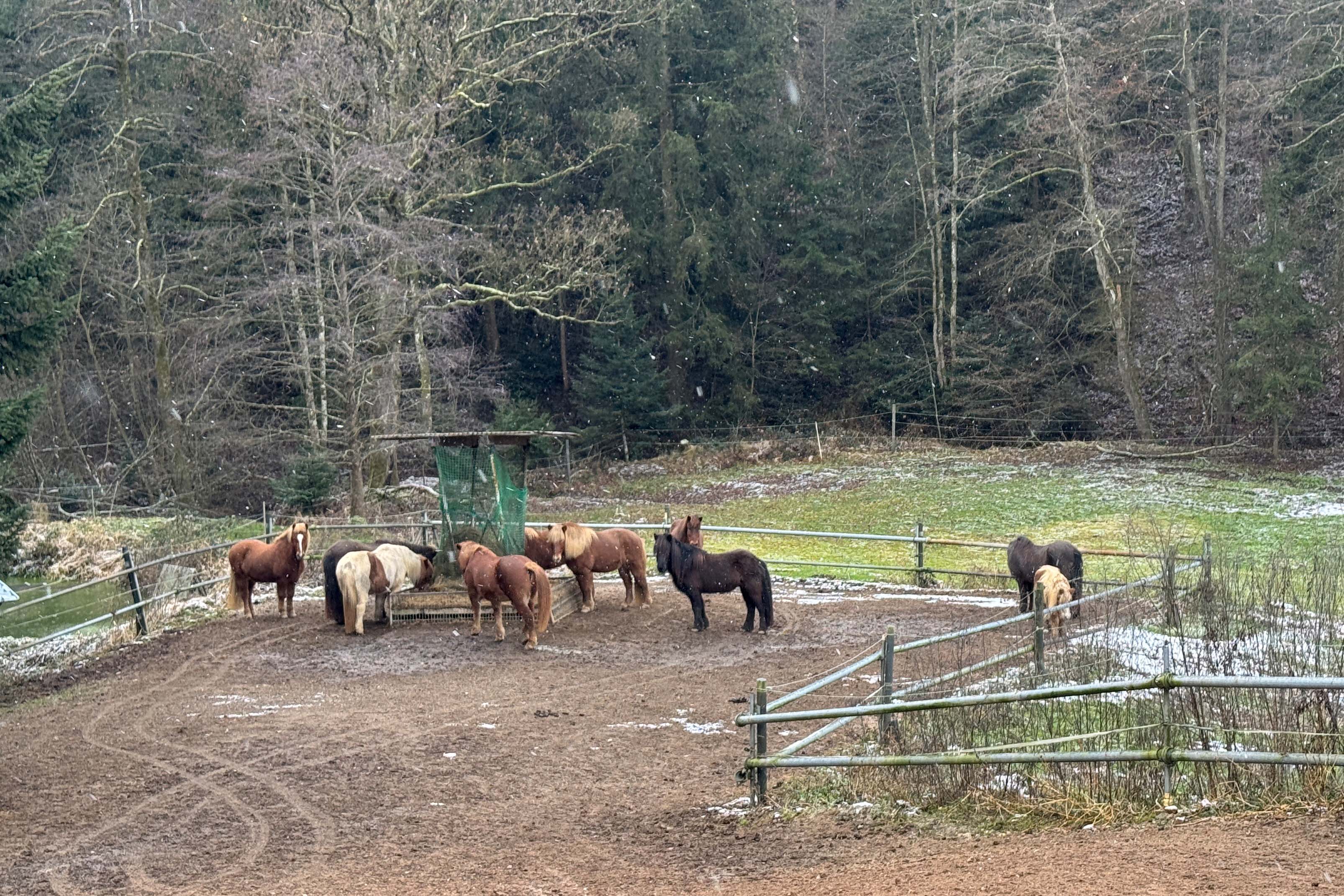 Ade 2025 - Glockenhof